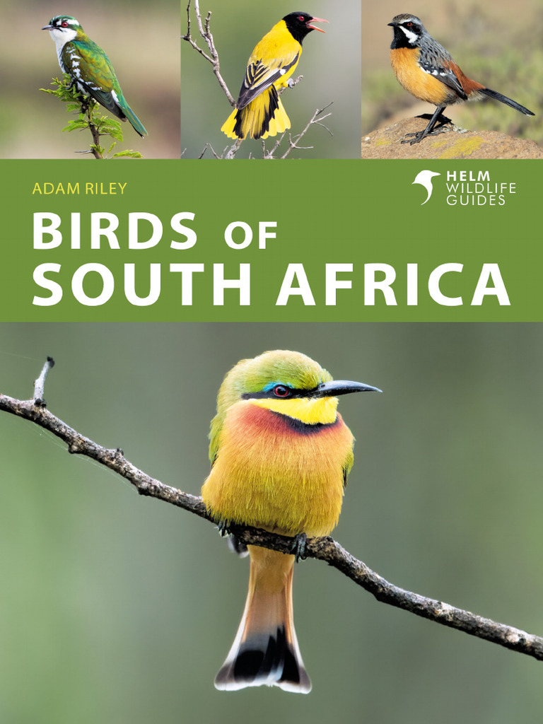Birds of South Africa - Adam Riley | PDF | Ornithology | Holarctic Birds