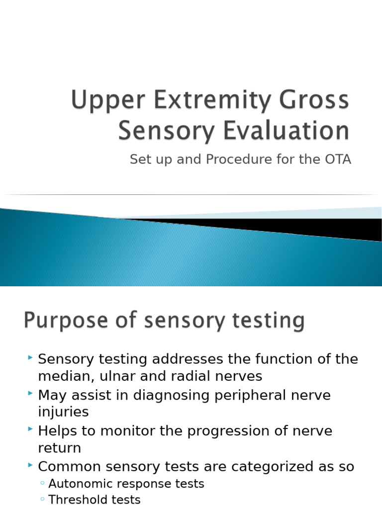 Sensory Testing Lecture - Updated | PDF | Nervous System | Neuroscience