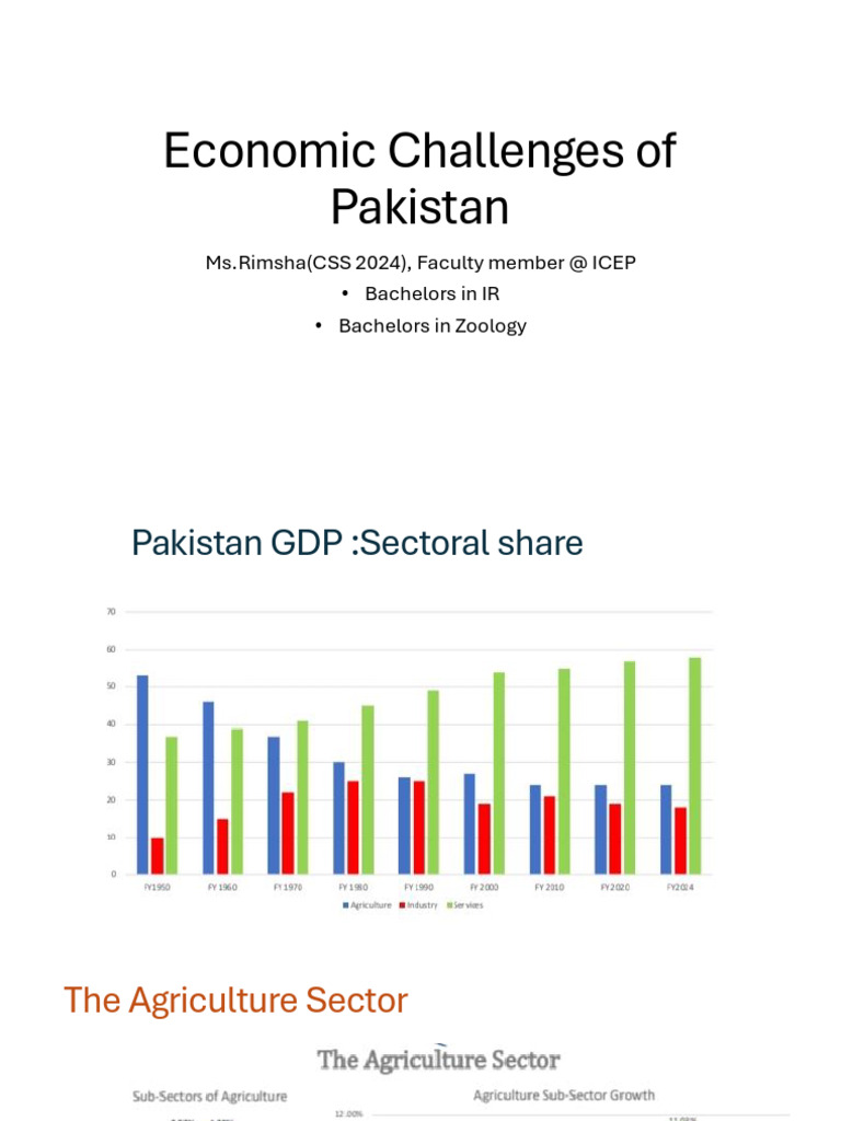 Challenges of Economy of Pakistan | PDF