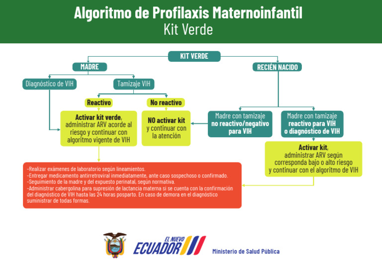 Algoritmo Kit Verde Documento | PDF