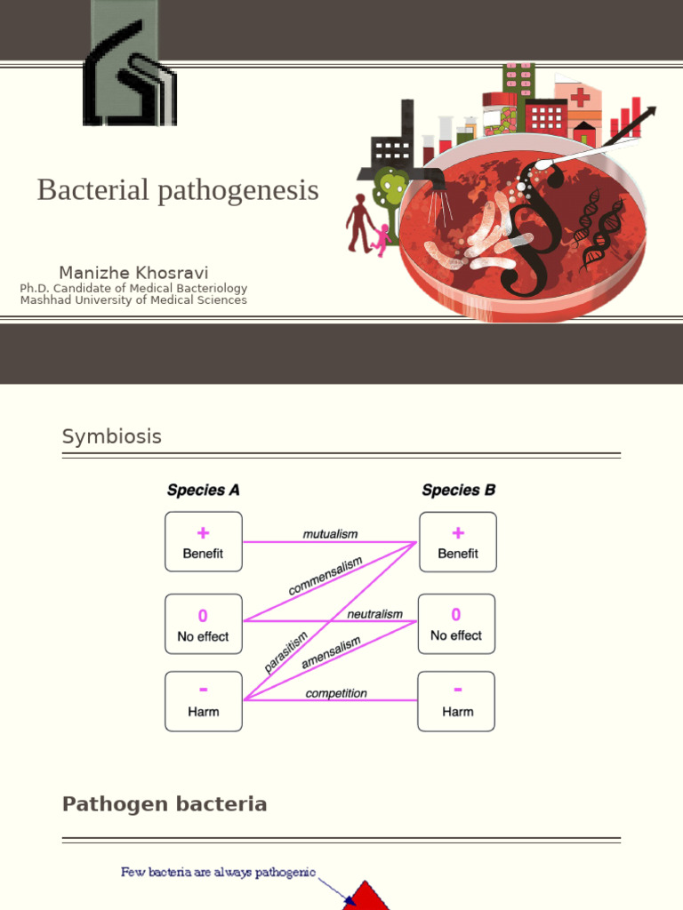 Bacterial Structures and Functions2 | PDF | Bacteria | Biofilm