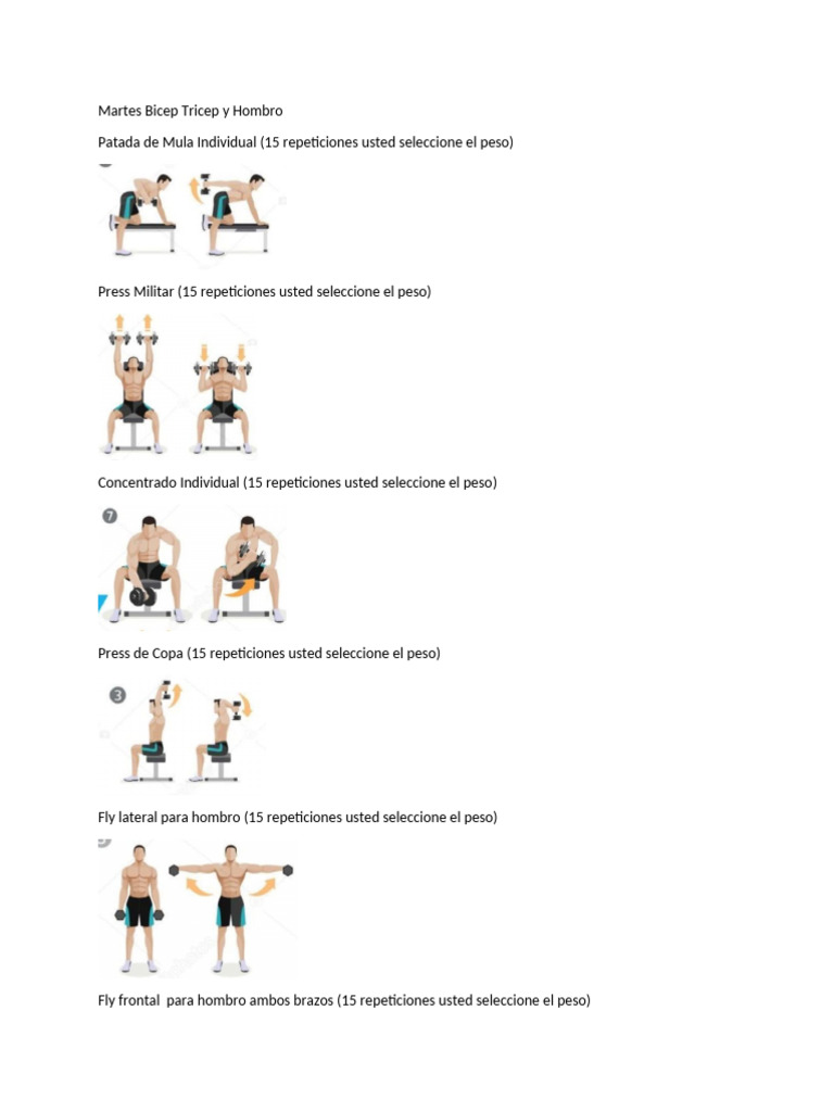 Martes Bicep Tricep y Hombro | PDF