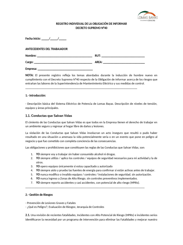 Formulario Registro Individual Odis Sme 2021 | PDF
