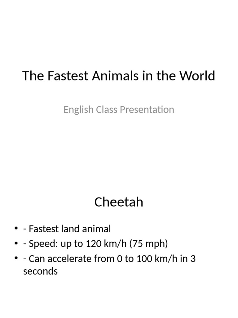 Fastest Animals: Cheetah, Falcon, Sailfish | PDF