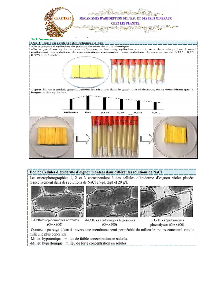 Doc 1bac Unite 2 | PDF