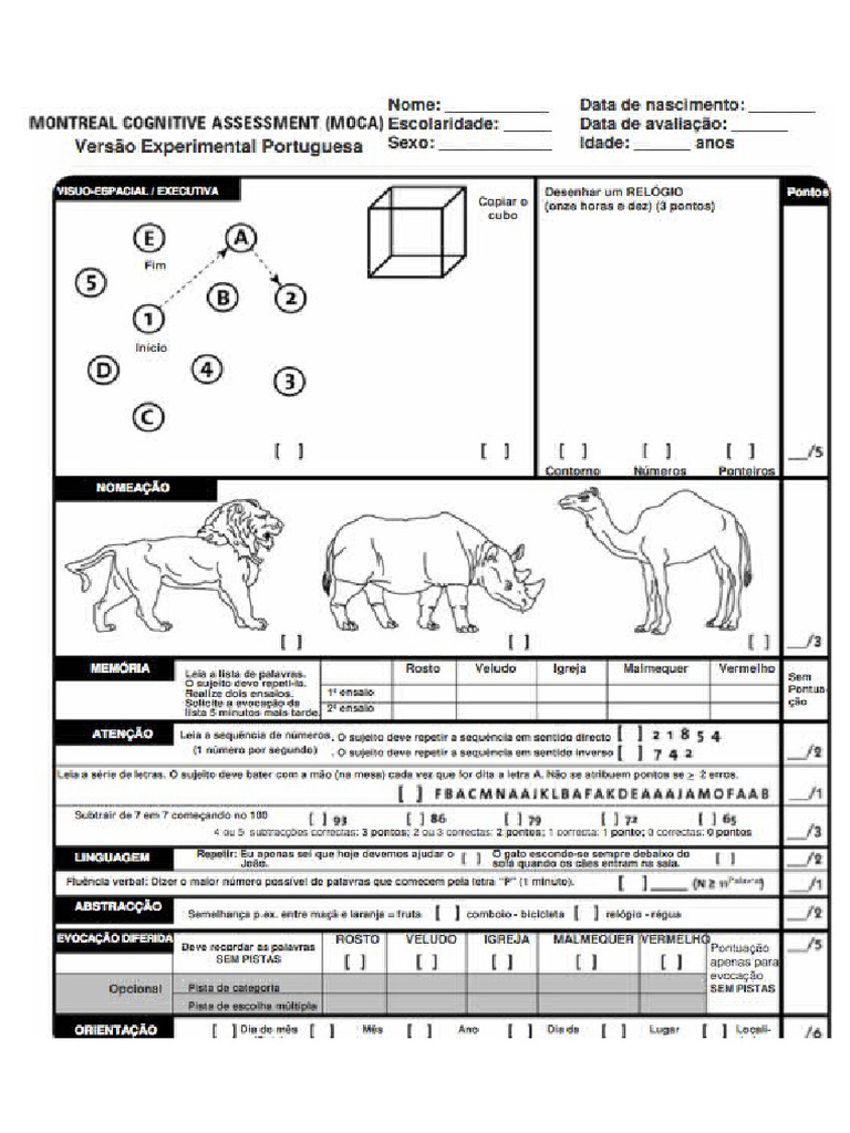 MOCA Teste | PDF