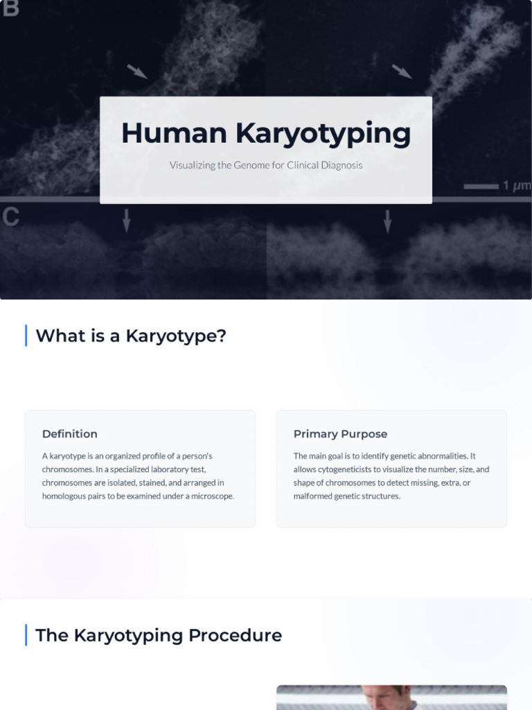 Human Karyotyping | PDF