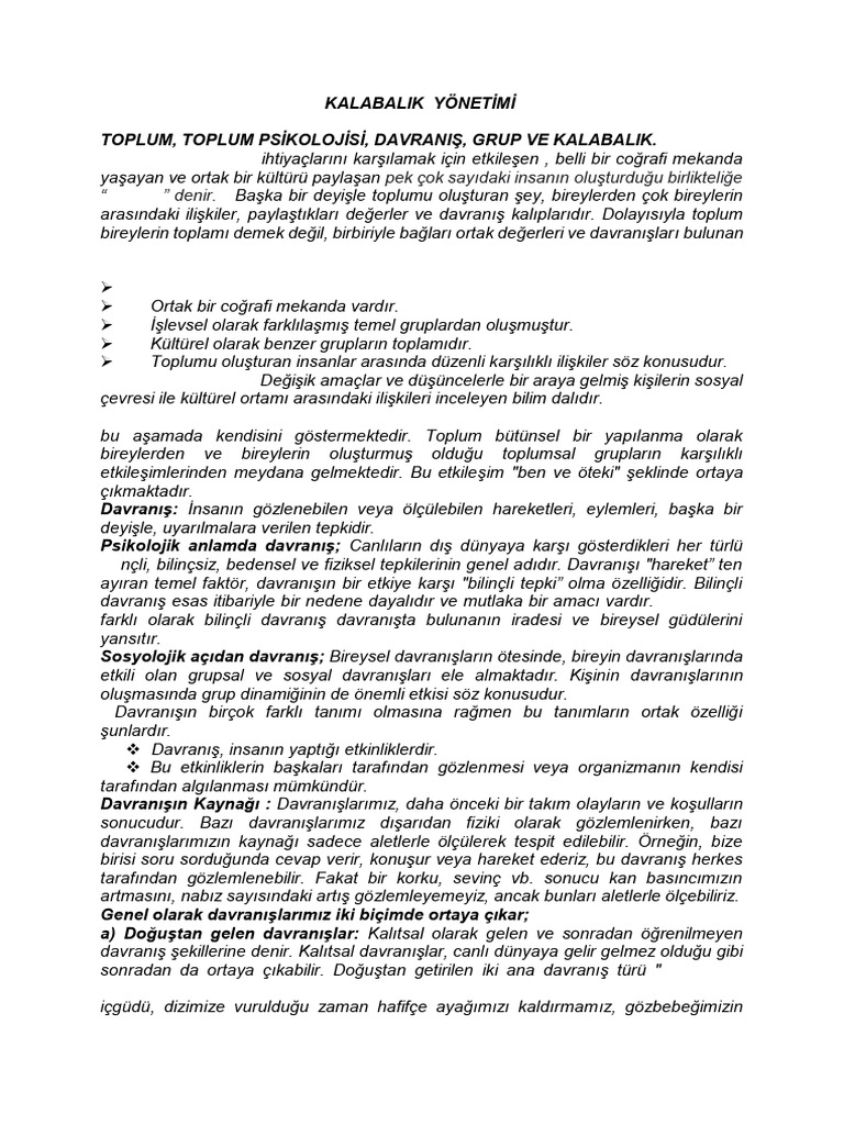 Kalabalik Yonetim | PDF