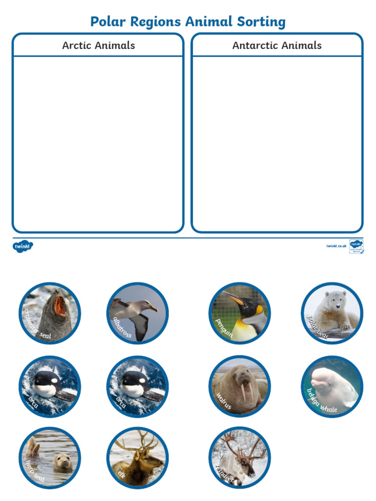 t-g-270-polar-regions-animal-sorting-activity_ver_4 | PDF