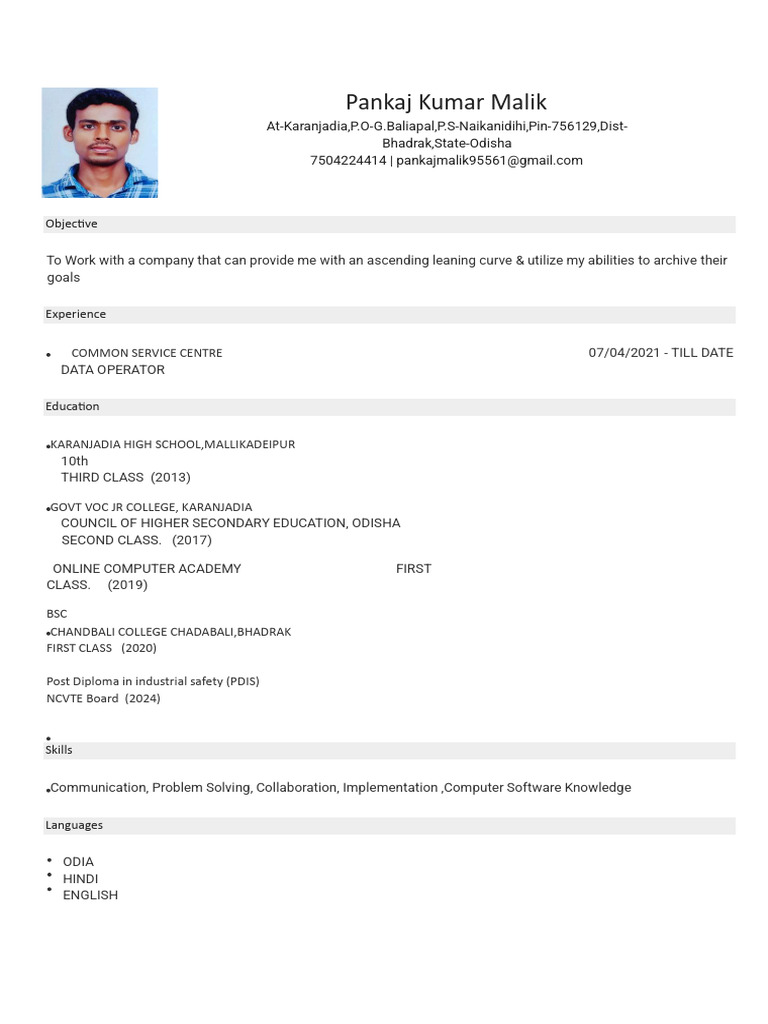 Pankaj Kumar Malik's Resume Overview | PDF
