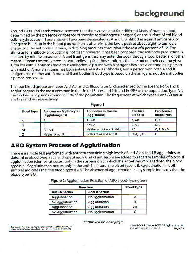 Blood Typing Handout | PDF