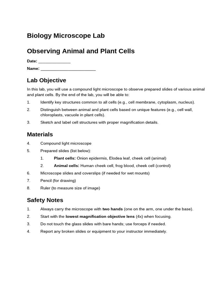 Biology Microscope Lab | PDF | Cell (Biology) | Microscope