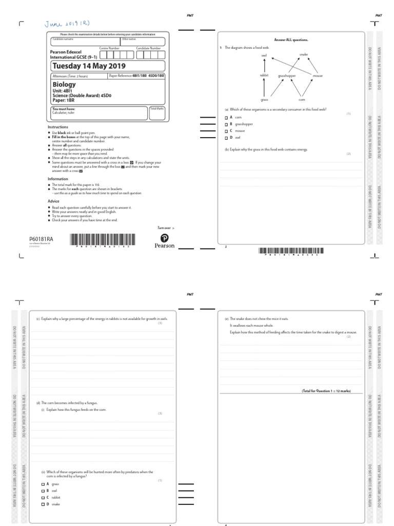 Bio Igcse Edexcel Paper 1 PDF | PDF | Germination | Seed