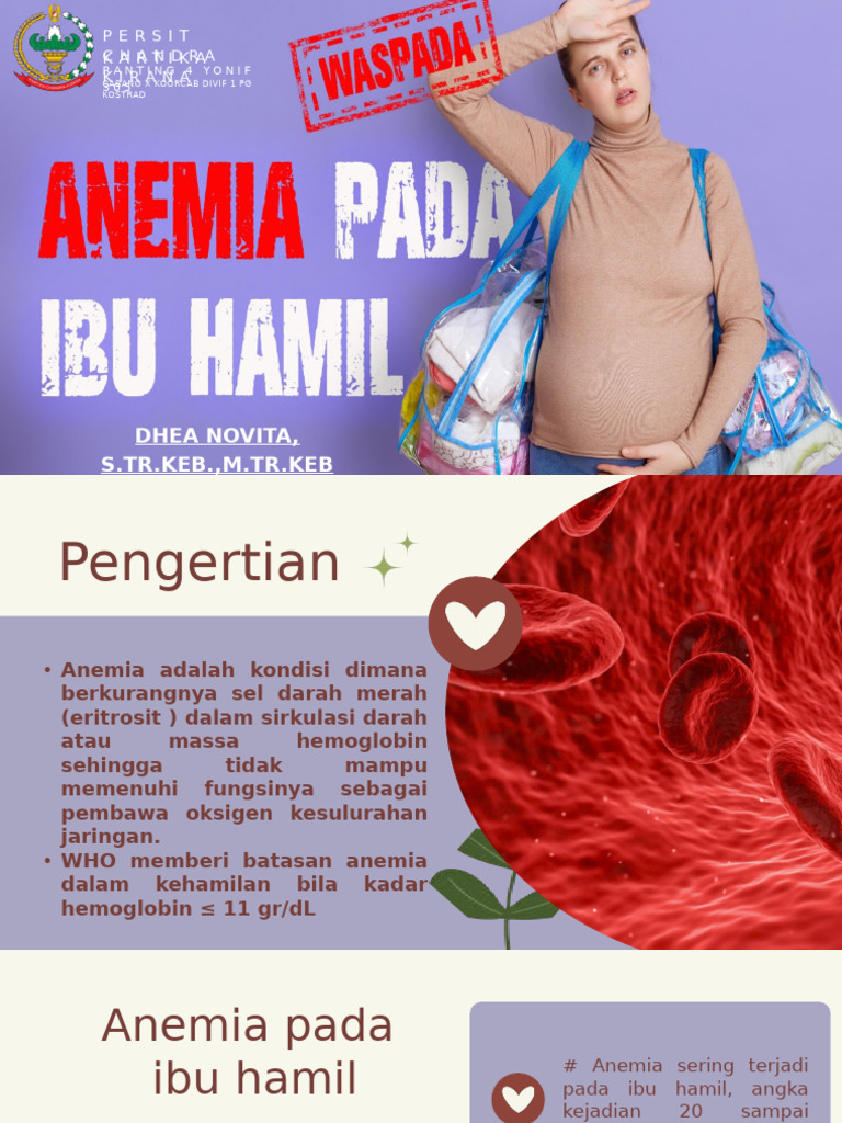 Anemia Pada Ibu Hamil Fix | PDF