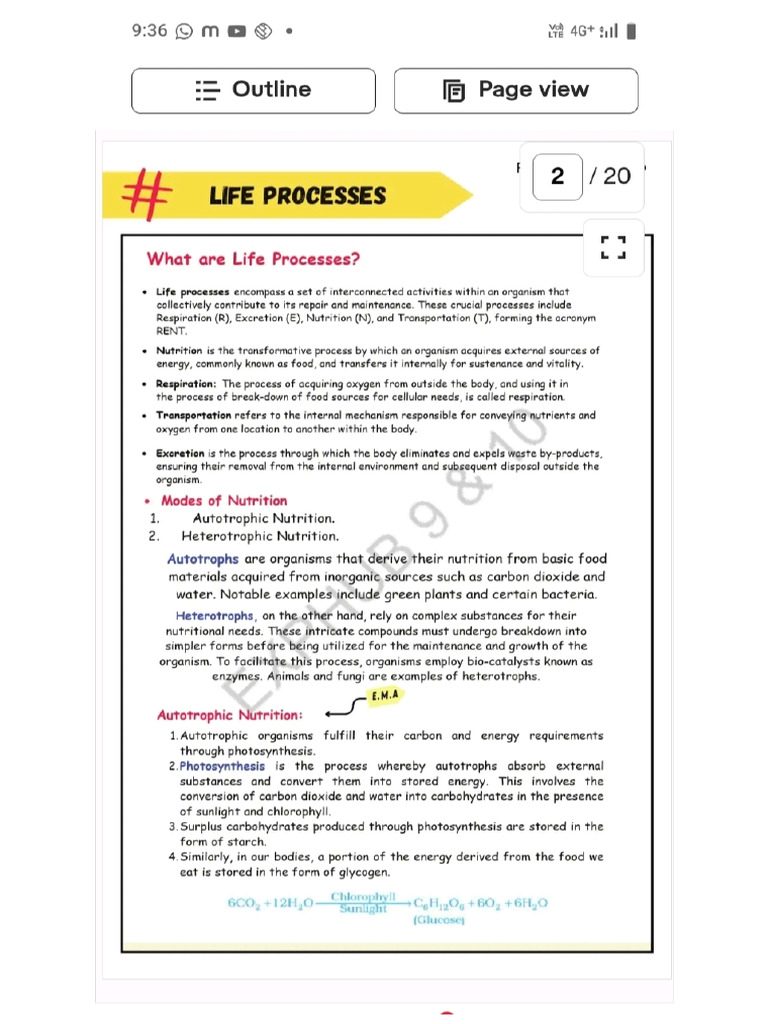 PK Bhaiya Class 10. Life Processes Class 10 Prashant Kirad | PDF