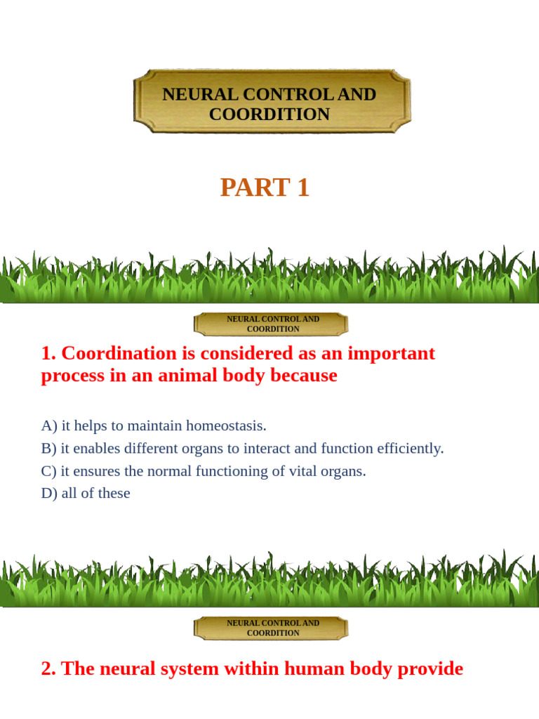 Neural Control and Coordination Overview | PDF | Nervous System ...