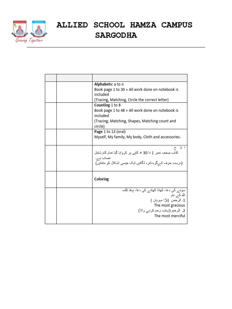 Playgroup Assessment 3 Syllabus | PDF