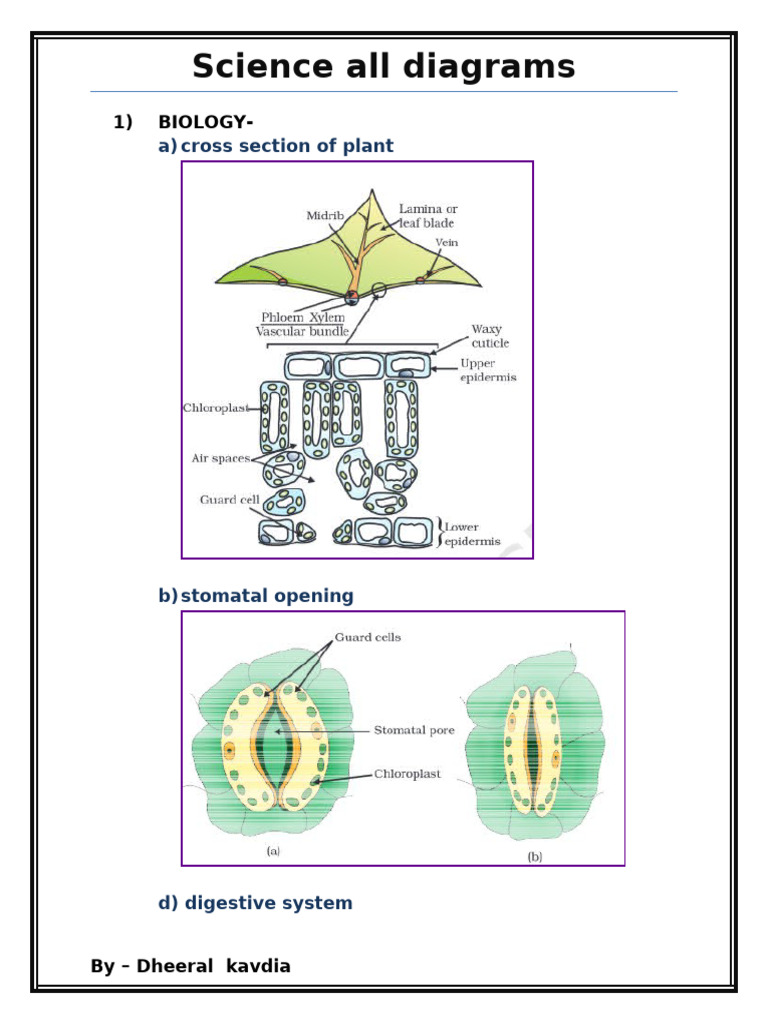 Biology | PDF