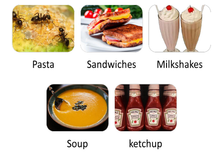 U5 Food | PDF