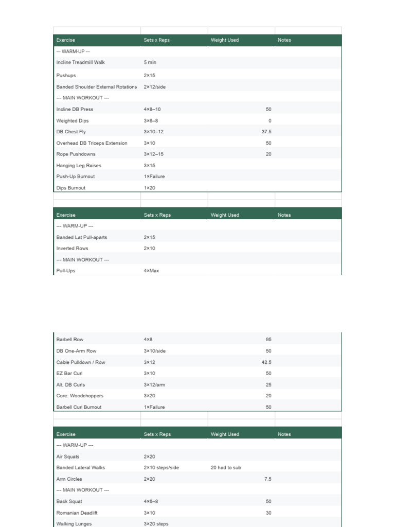 Workouts - Google Sheets | PDF