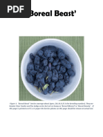 Haskap Pollination and Ripening Guide | PDF | Flowers | Pollination