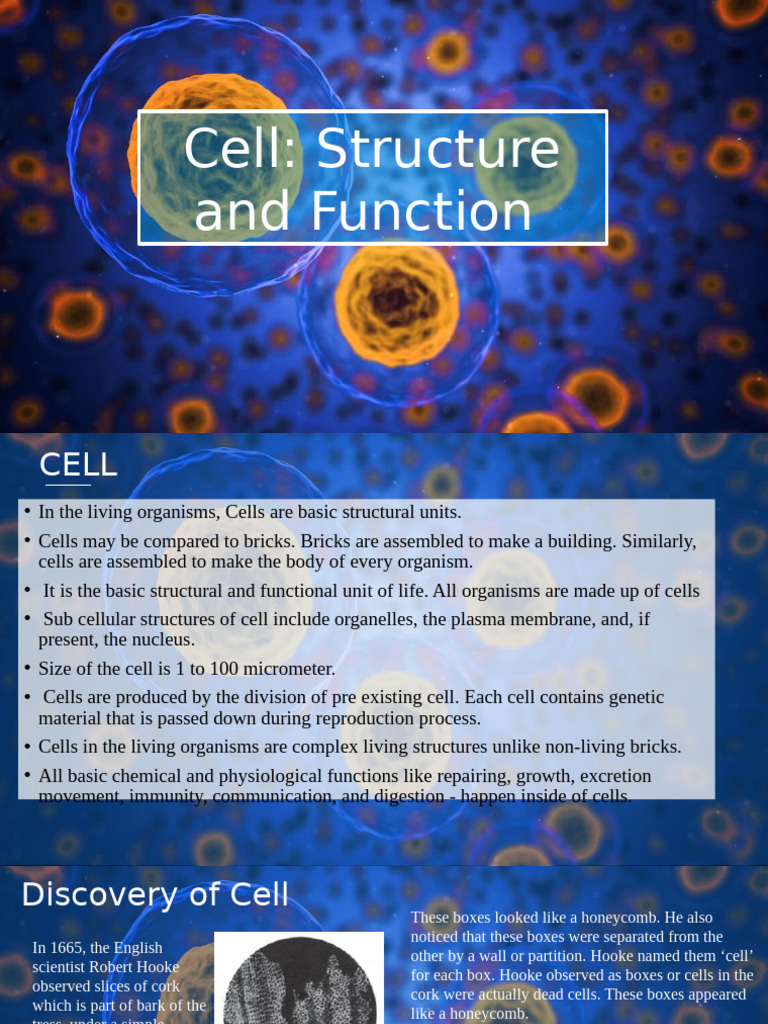 Cell Structure and Function Overview | PDF | Cell (Biology ...