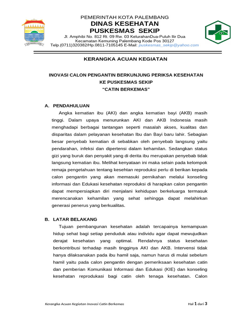 Inovasi Kesehatan Catin Berkemas Palembang | PDF
