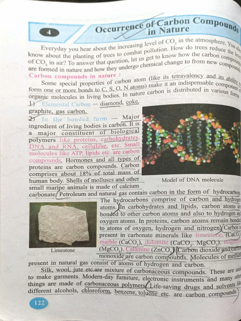 Occurrence of Carbon Compounds in Nature | PDF