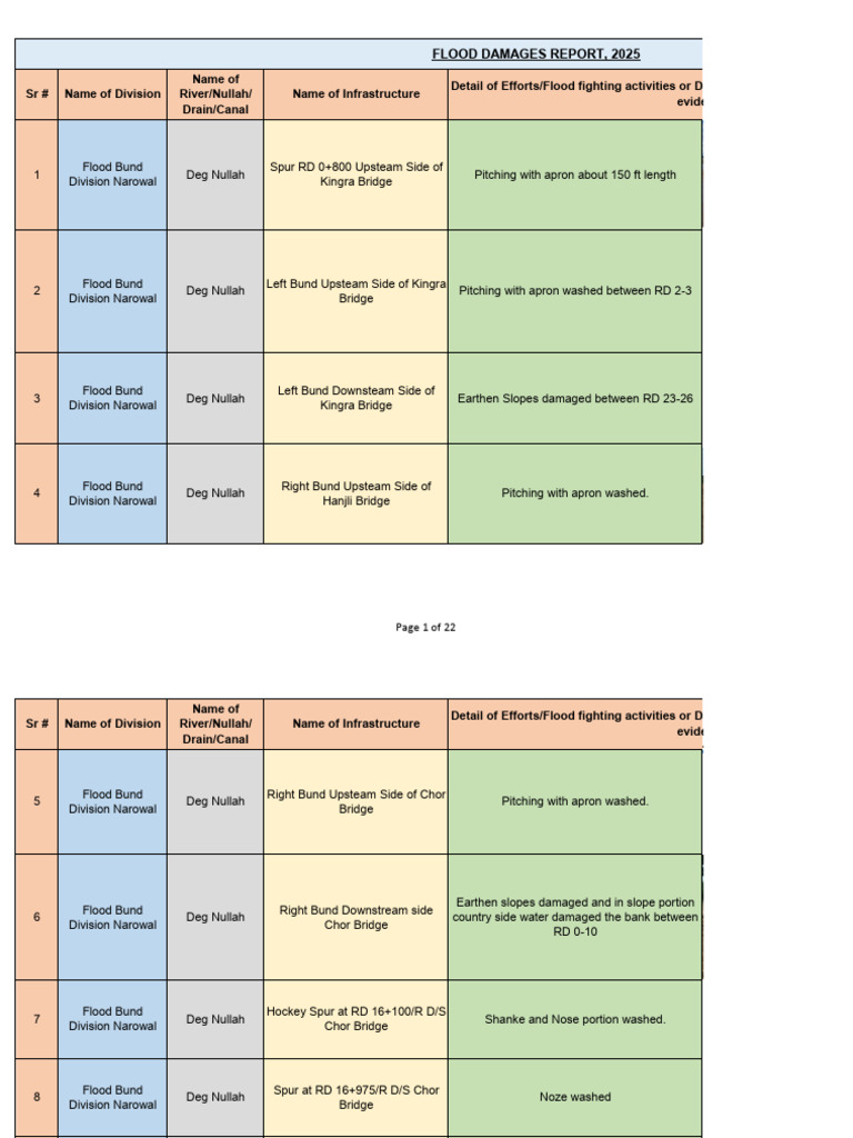 2025 Flood Damage Assessment Report | PDF | Flood | Water