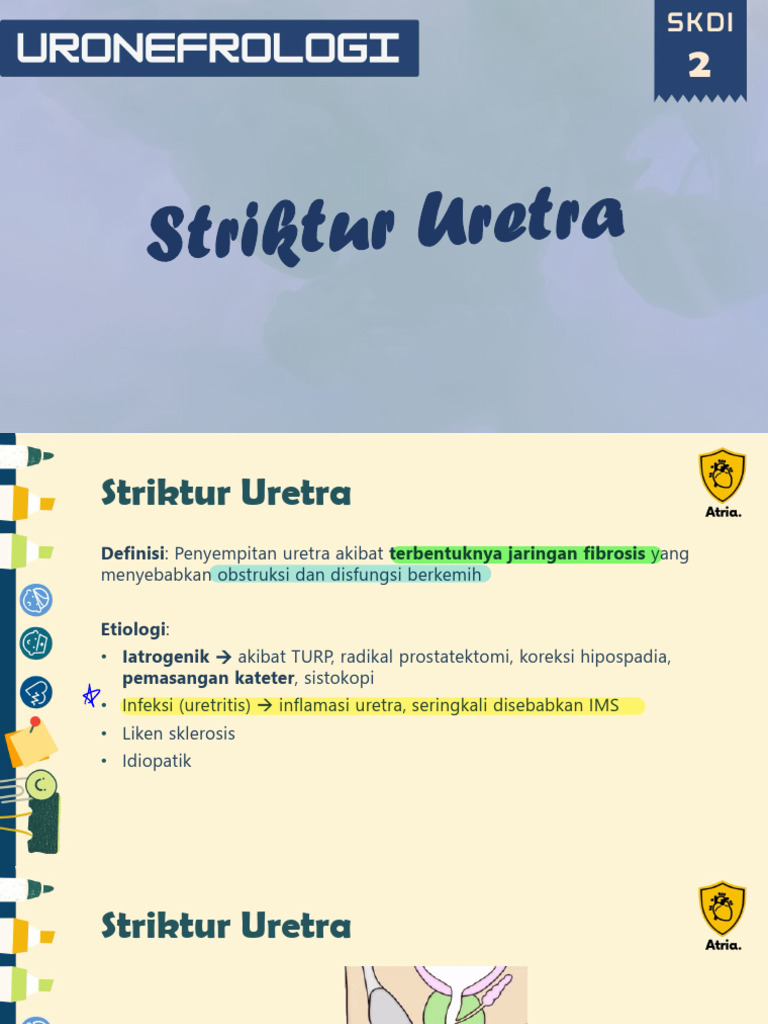 Striktur Uretra: Gejala, Diagnosis, dan Pengobatan | PDF