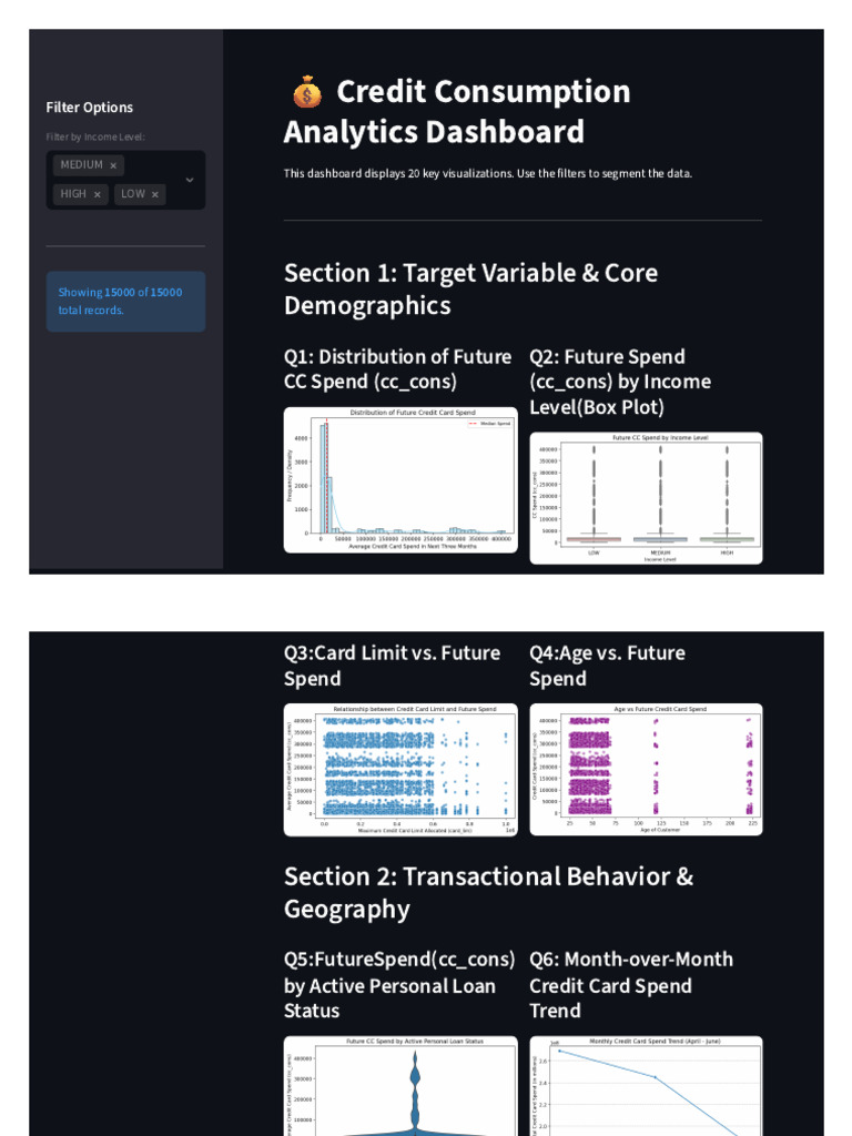 Credit Consumption Analytics Dashboard | PDF