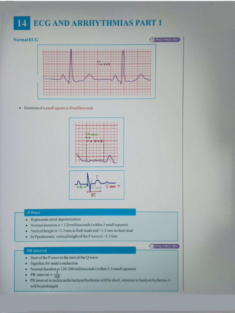 ECG Notes | PDF