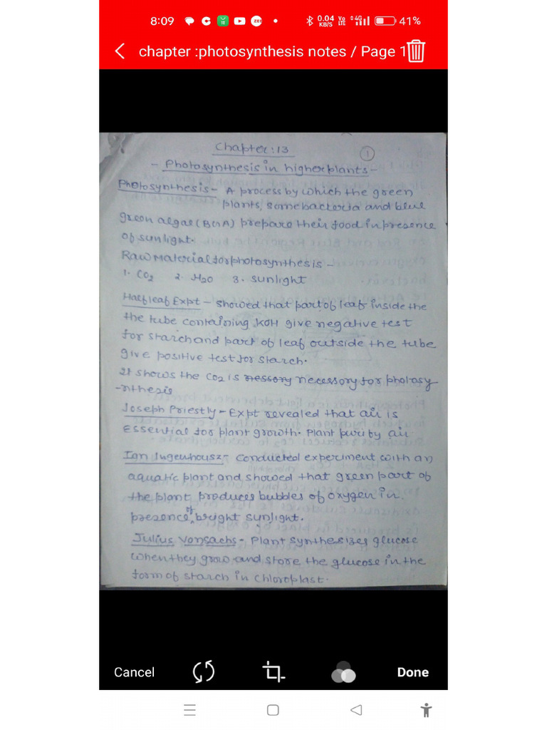 Photo Synthesis Notes | PDF