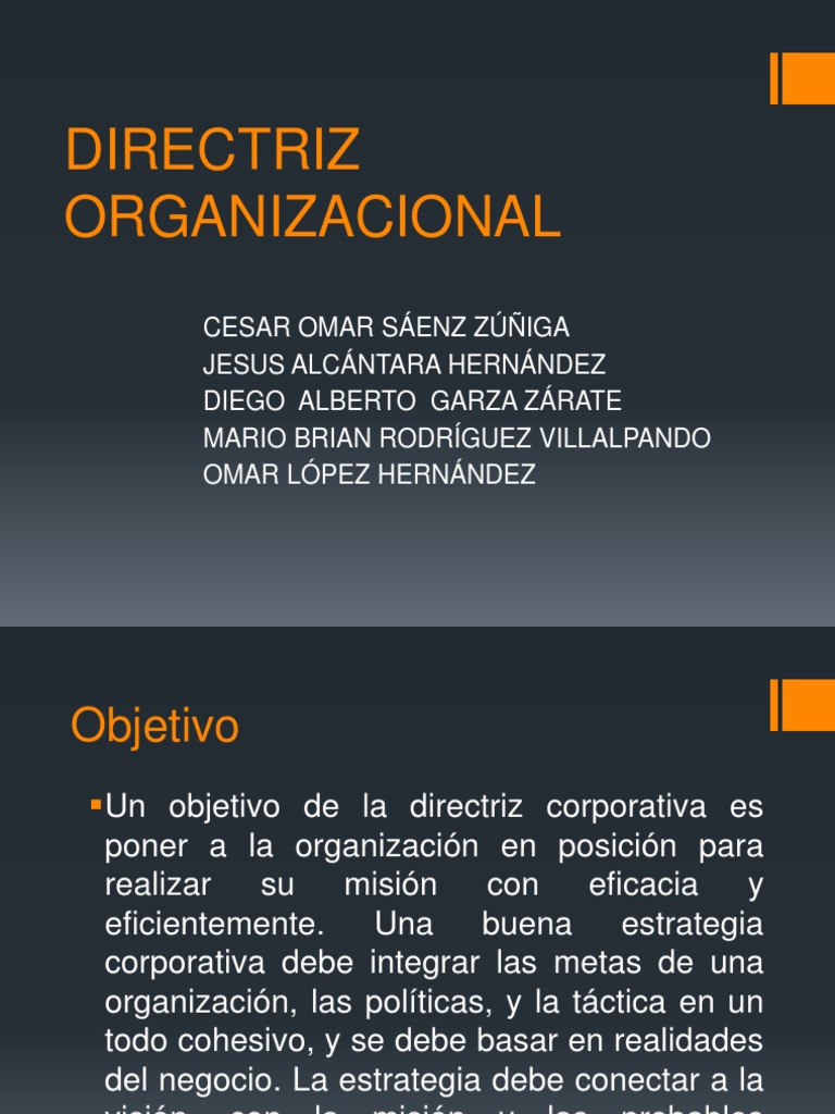 Directriz Organizacional | PDF | Planificación | Business