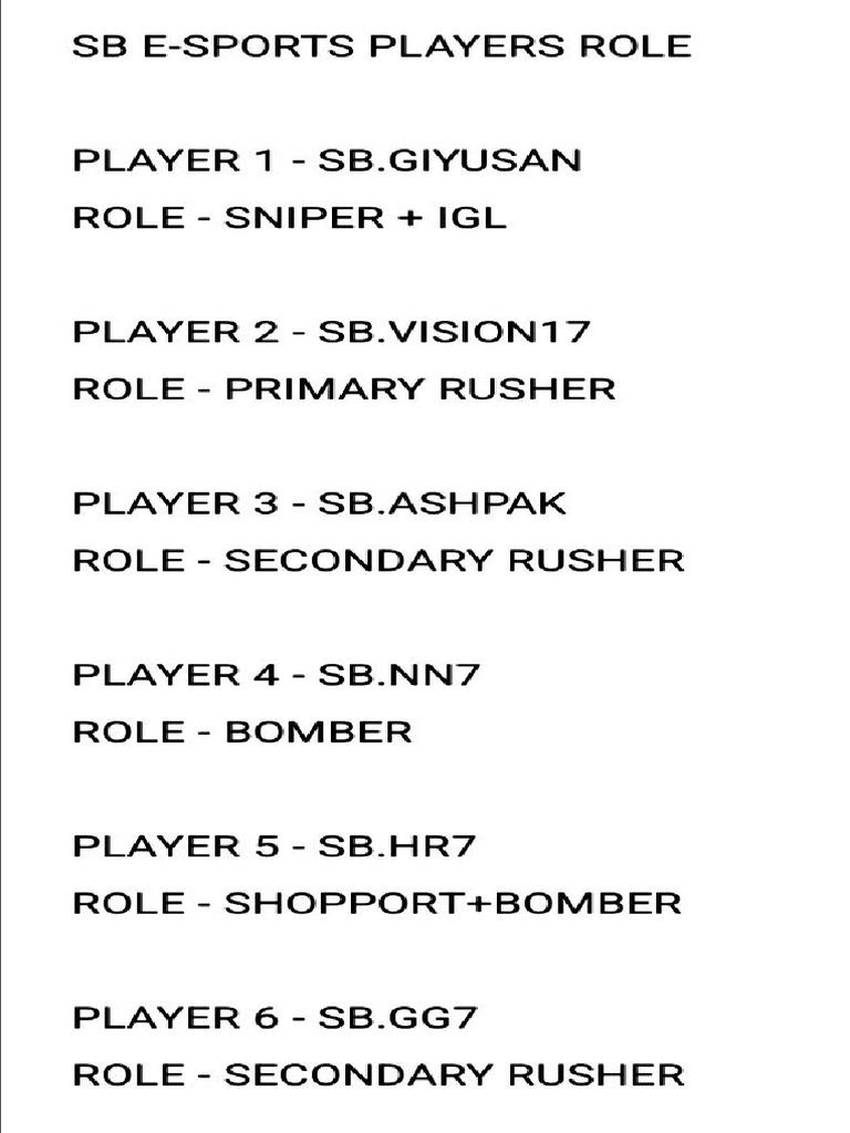 SB E-Sports Players Role | PDF