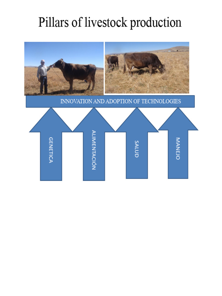 Pillars of Livestock Production | PDF