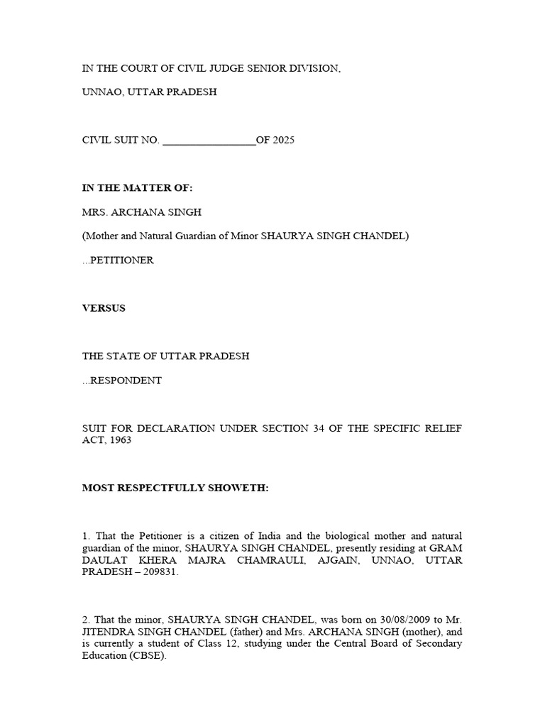 In The Court of Civil Judge Senior Division | PDF | Public Law | Government