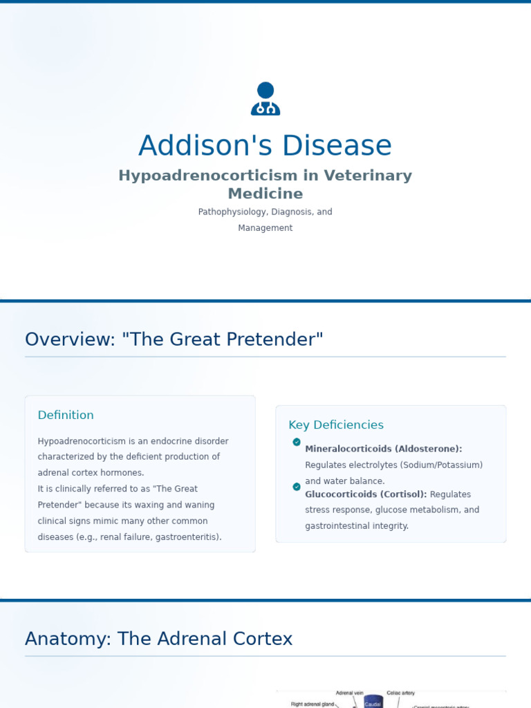 Addison's Disease in Veterinary Medicine | PDF | Adrenal Gland ...