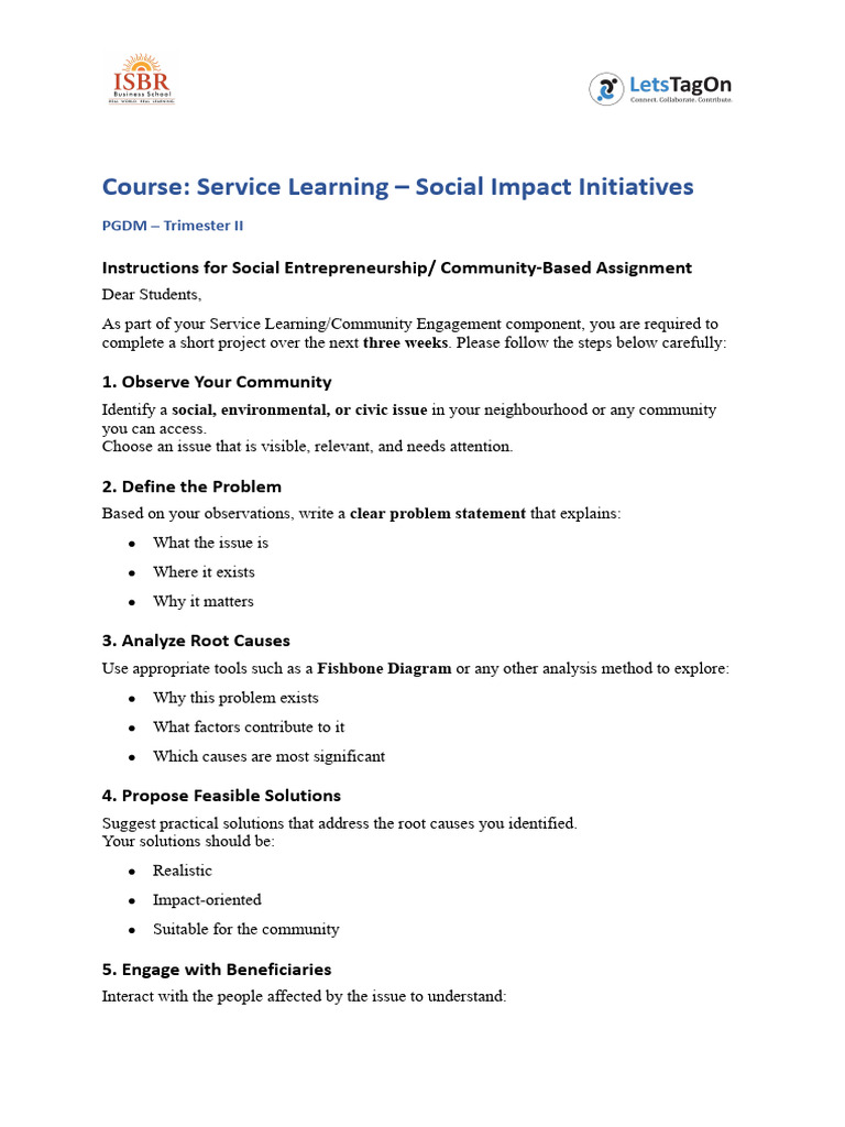 Intructions For Social Entrepreneurship Project | PDF