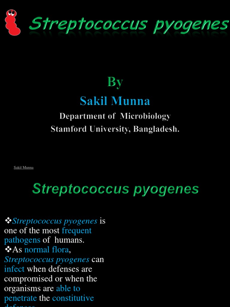 Streptococcus Pyogenes | Streptococcus | Infection