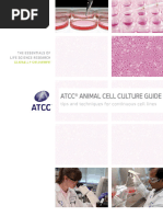 MCF7 Cell Line (ATCC HTB-22) Overview | PDF | Atcc (Company) | Safety