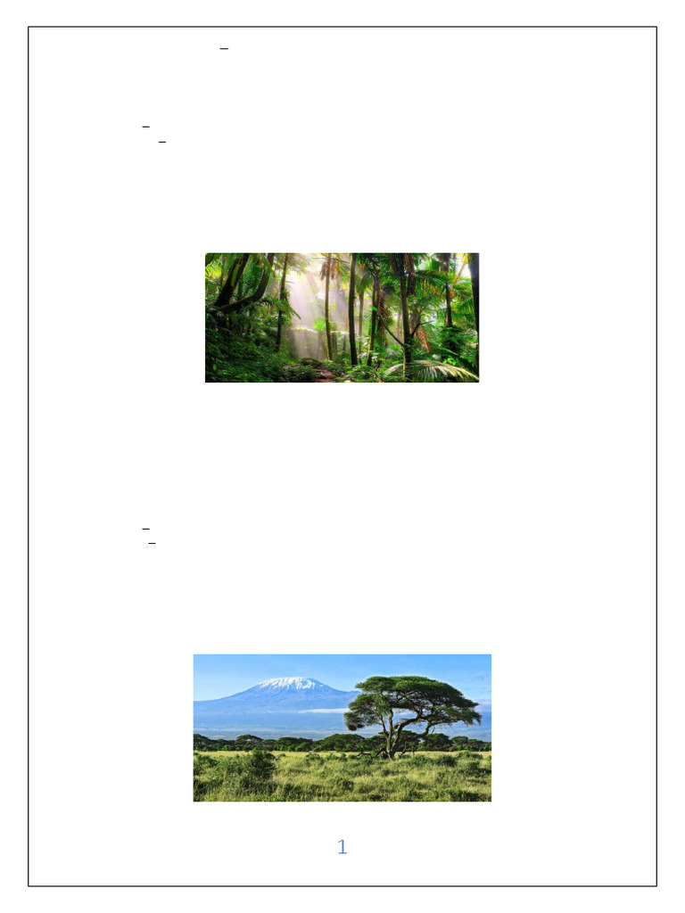 Biomas del Mundo: Datos y Problemas Matemáticos | PDF | Selva ...