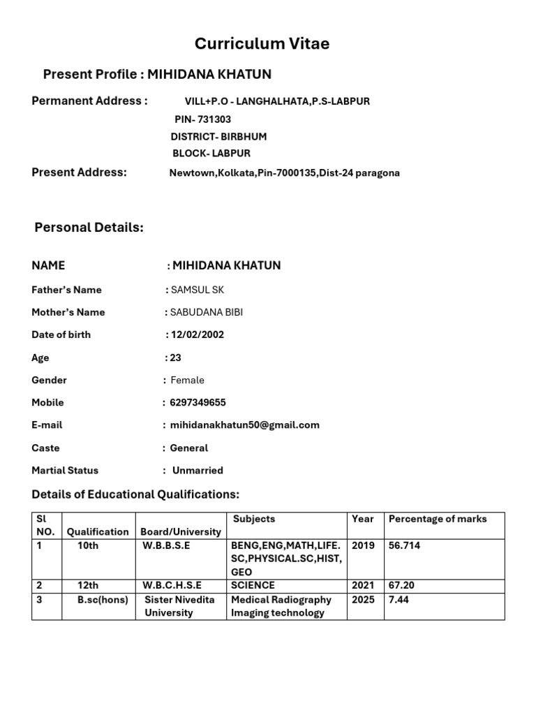 Curriculum Vitae | PDF