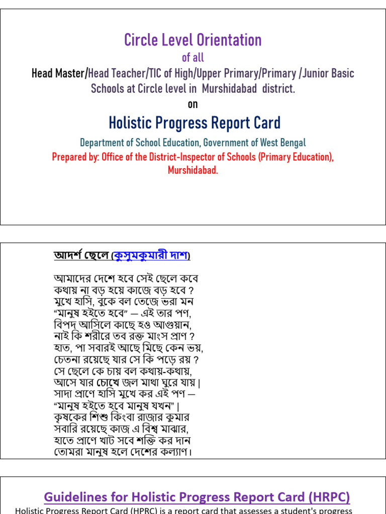Holistic Progress Report Card Guidelines | PDF | Affect (Psychology ...