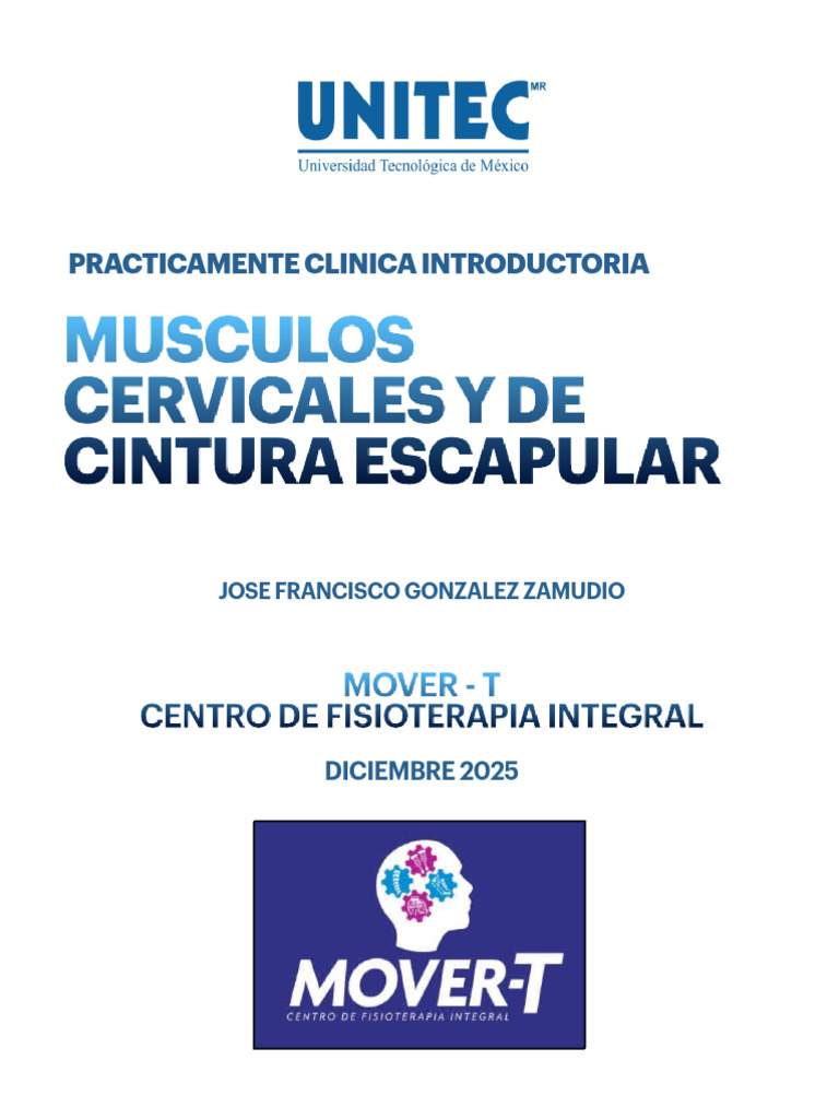 musculos cervicales | PDF | Extremidades (anatomía) | Tejido suave