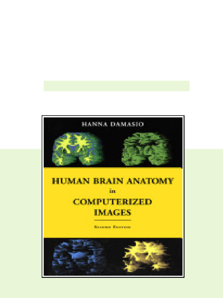 Human Brain Anatomy in Computerized Images 2nd Edition Hanna Damasio ...