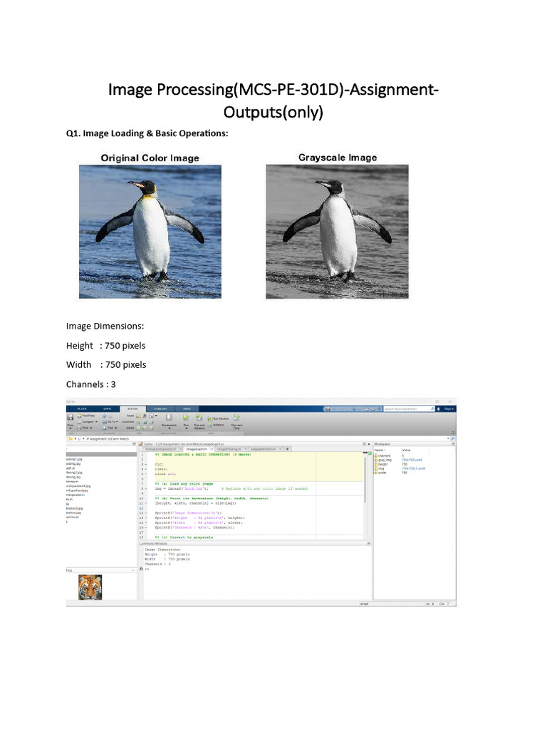 Image Processing AssignMent(MCS PE 301D)1 | PDF