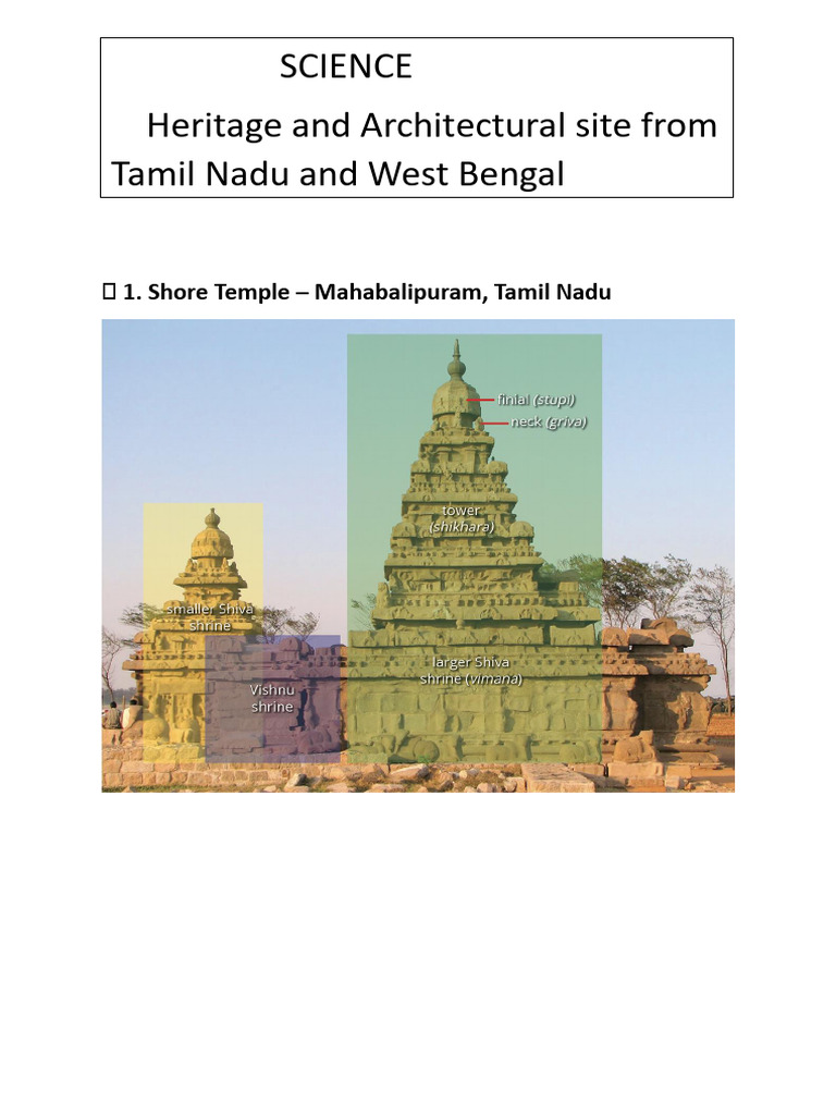 Science Project | PDF