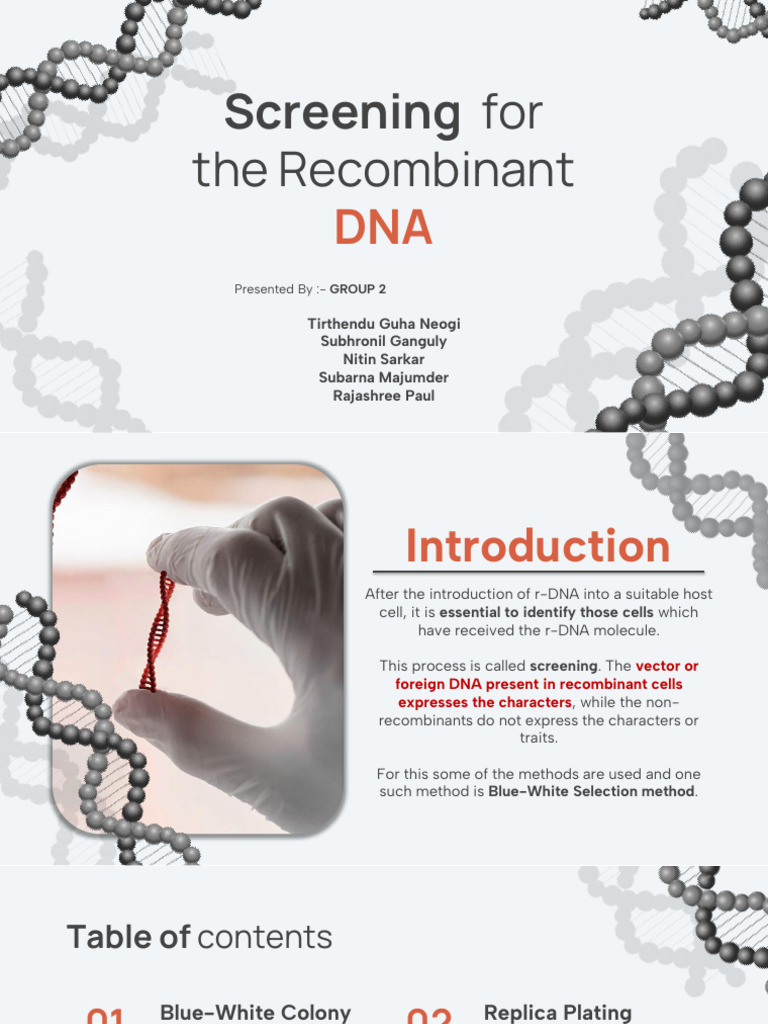 Rdt Ppt Group 2.Pptx | PDF | Gel Electrophoresis | Agarose Gel ...
