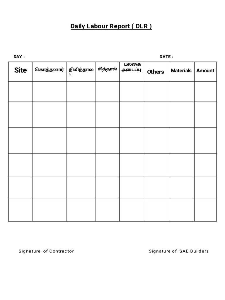Daily Labour Report (DLR) : Others | PDF